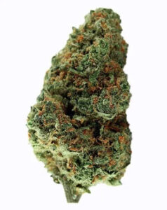 What is Skunk Weed? Learn its History, Potency and Effects