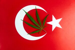 Is weed legal in Turkey? | HTG Blog