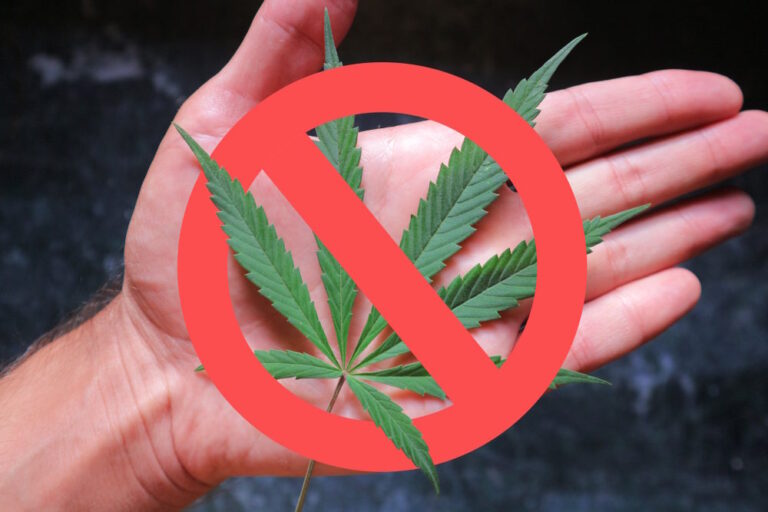 Is Weed Legal in Iceland | HTG Blog